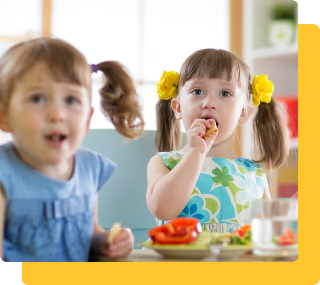 Food and Nutrition - Playto